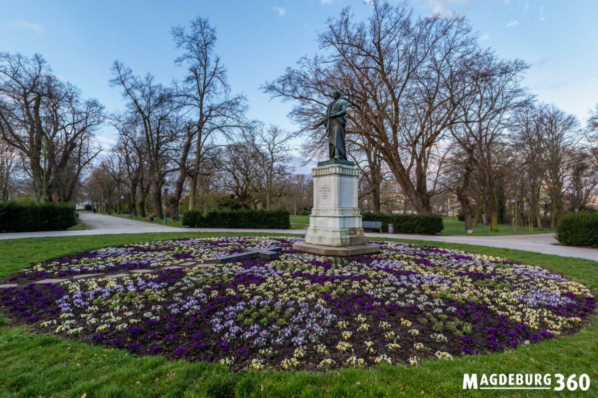Magdeburg Holzweg - Alleé der Kirschblütenbäume • Ottopix.de