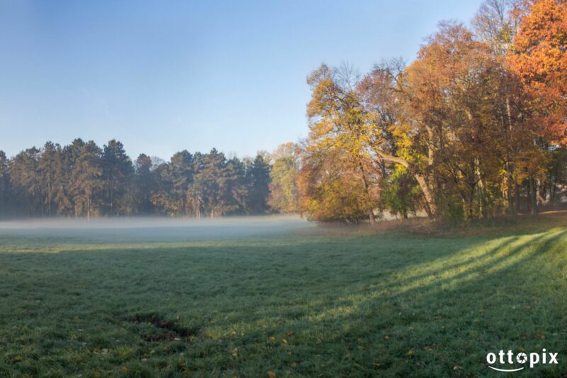 Rotehornpark Magdeburg | Stadtpark Rotehorn | Ottopix.de