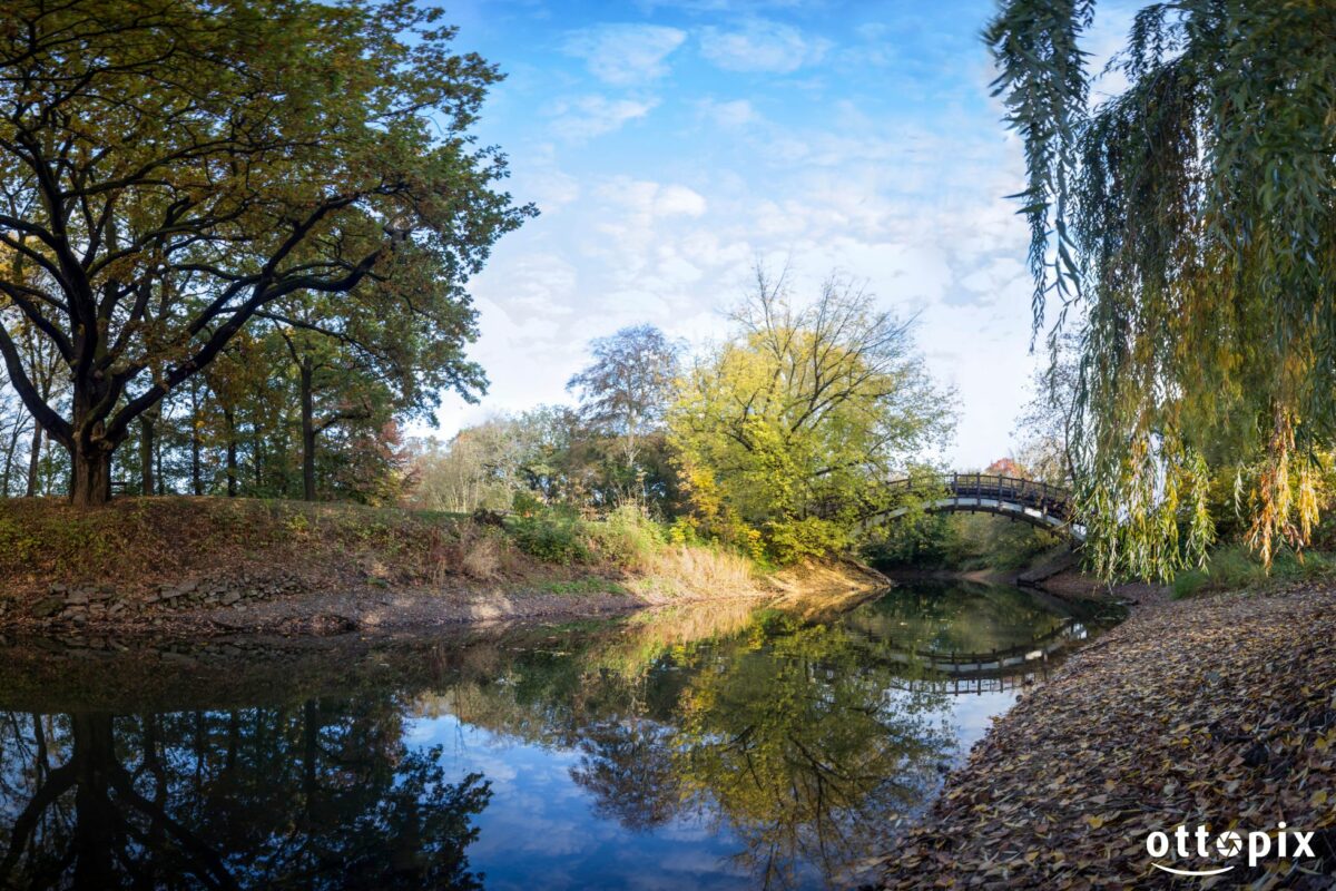 Rotehornpark Magdeburg | Stadtpark Rotehorn | Ottopix.de